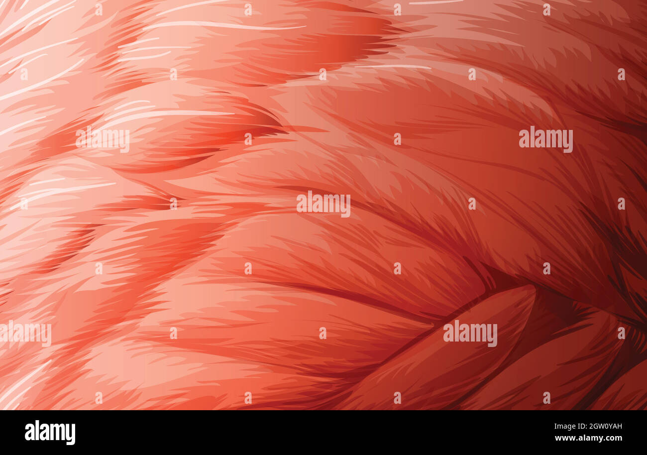 Feather texture close up Stock Vector Images - Alamy