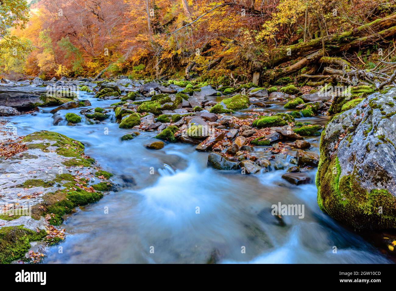 Colorful stone creek hi-res stock photography and images - Alamy