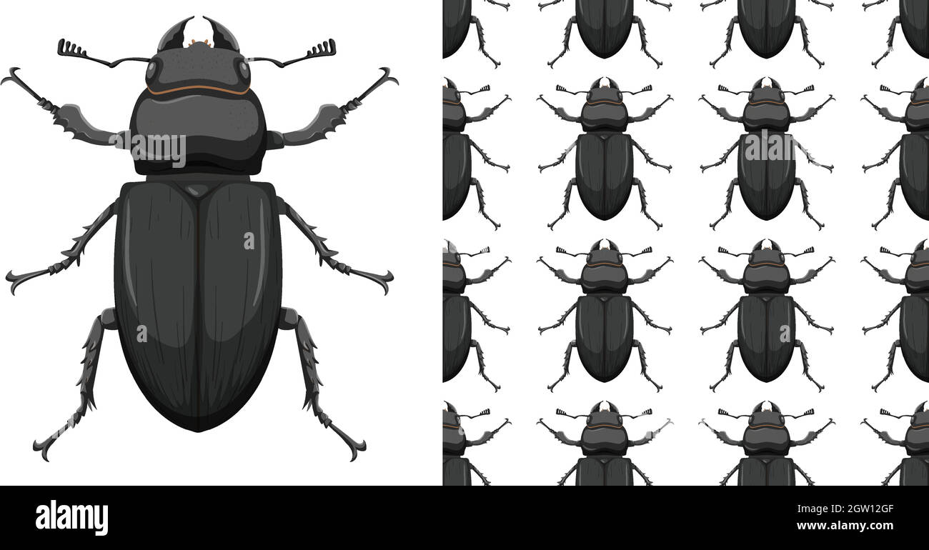 Beetle insect and seamless background Stock Vector Image & Art - Alamy