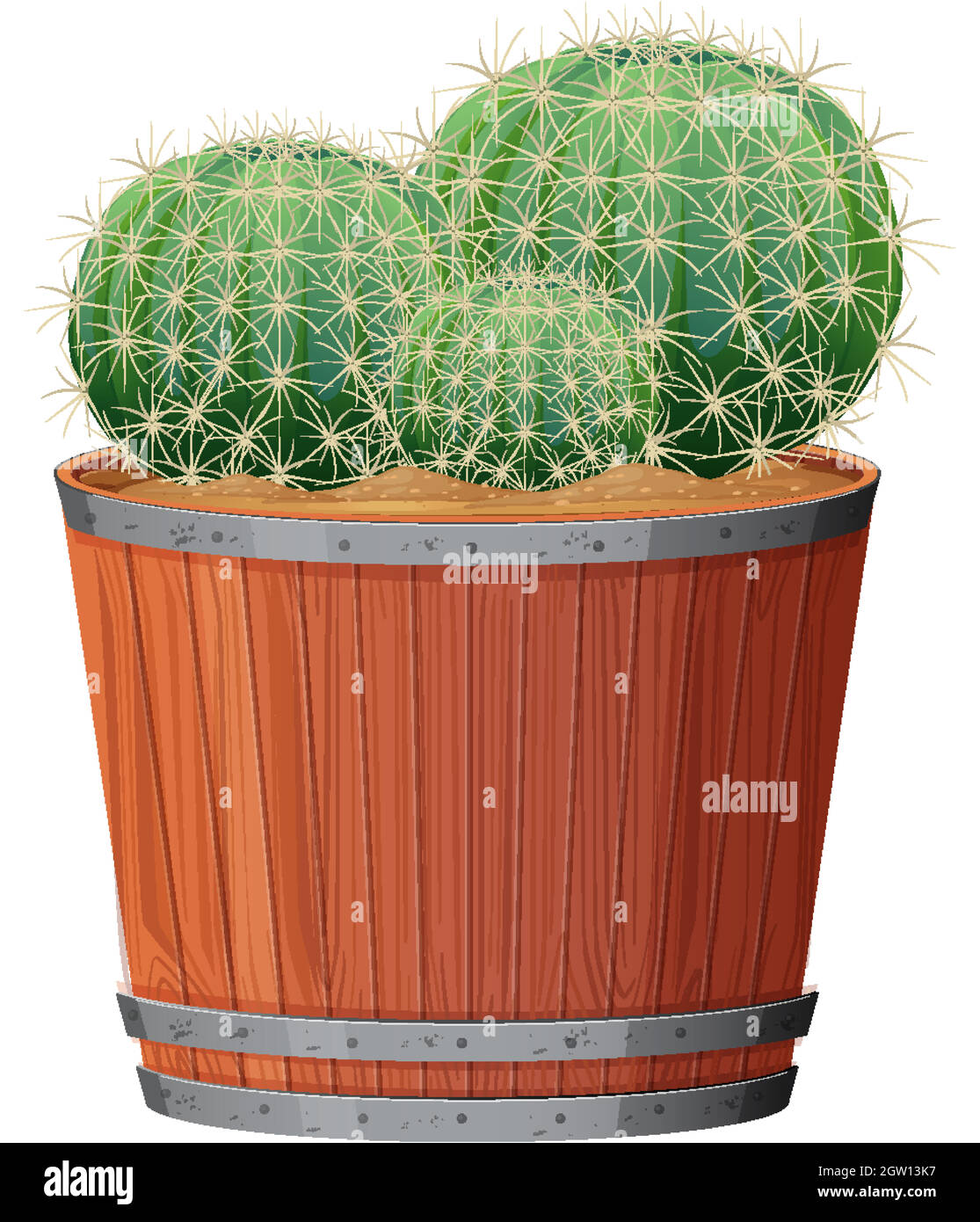 Cactus in garden on nature Stock Vector Images - Alamy