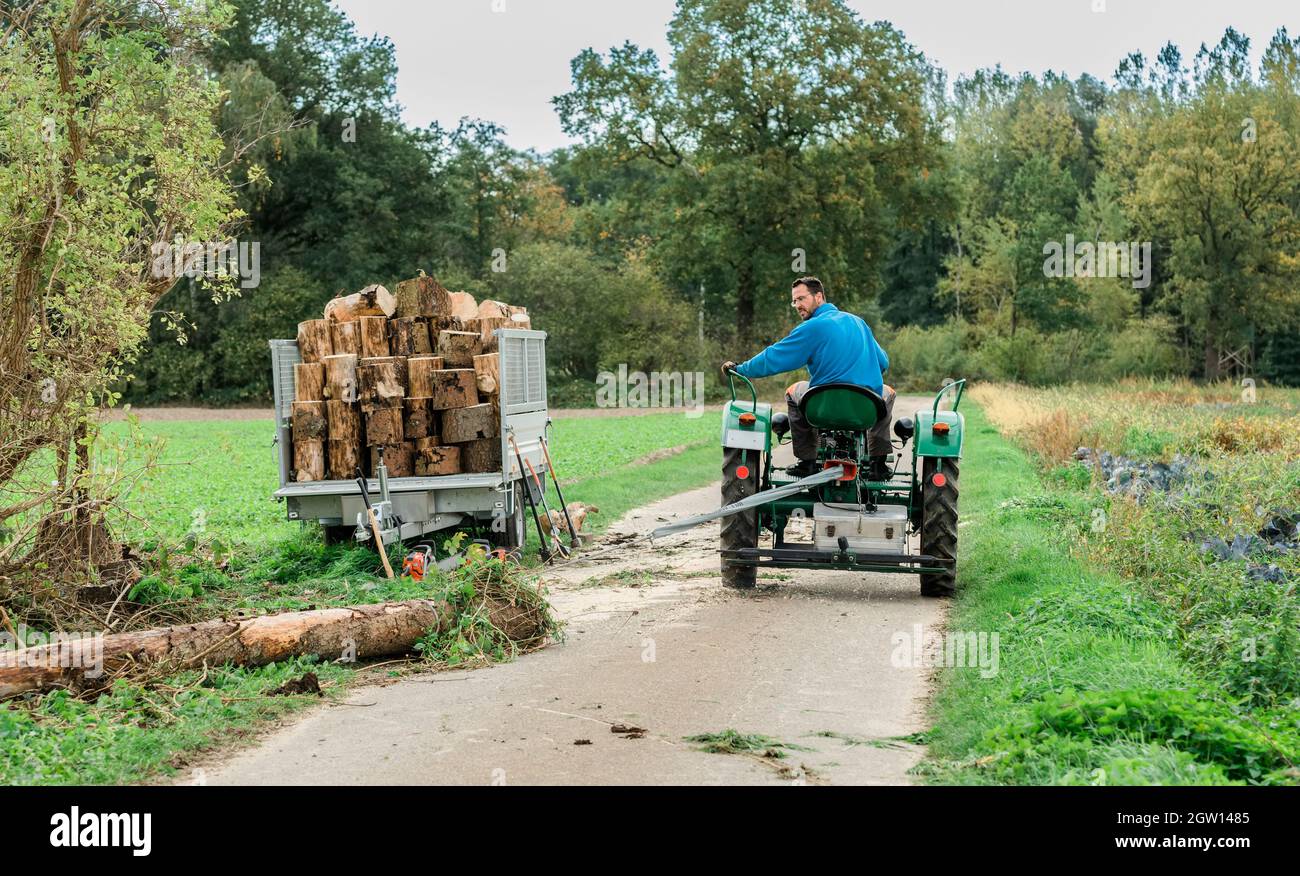 Pulling tree trunk hi-res stock photography and images - Alamy
