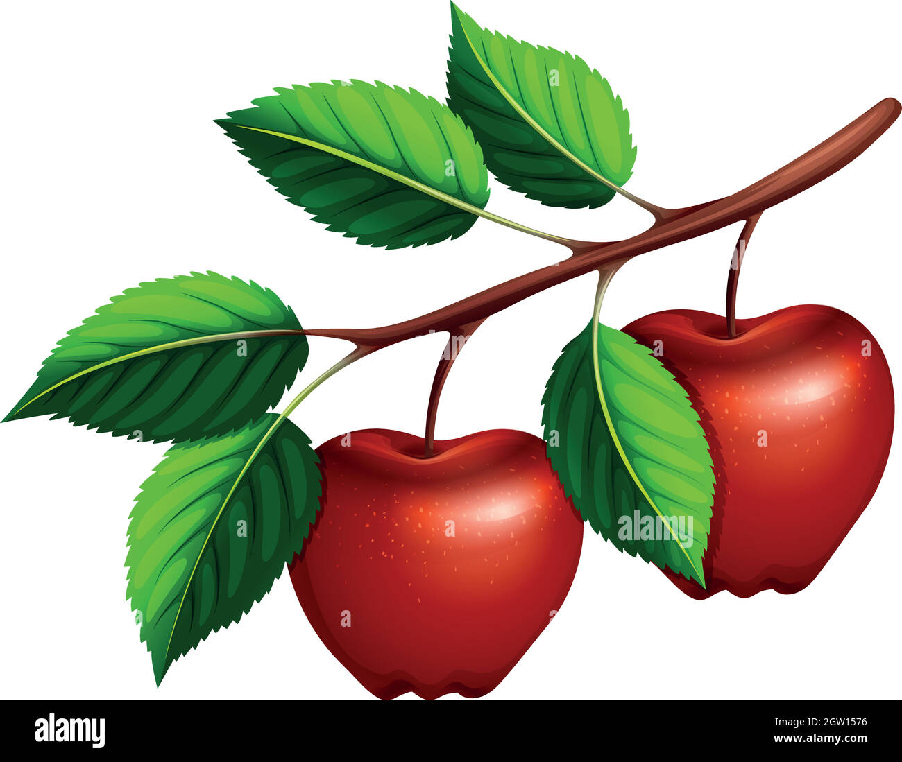 Apples Stock Vector Images - Alamy