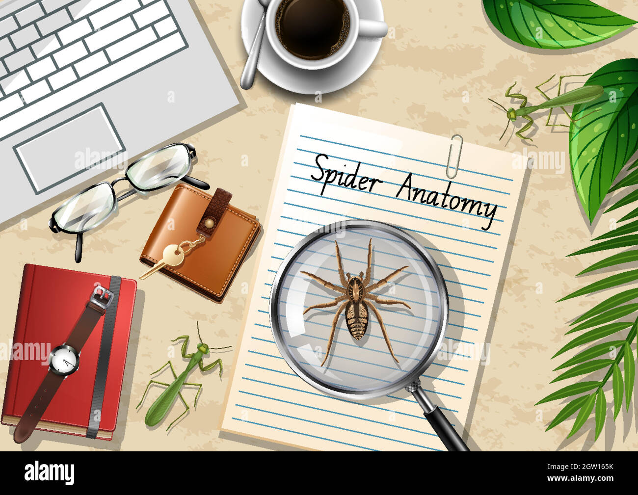 Spiders work Stock Vector Images - Alamy