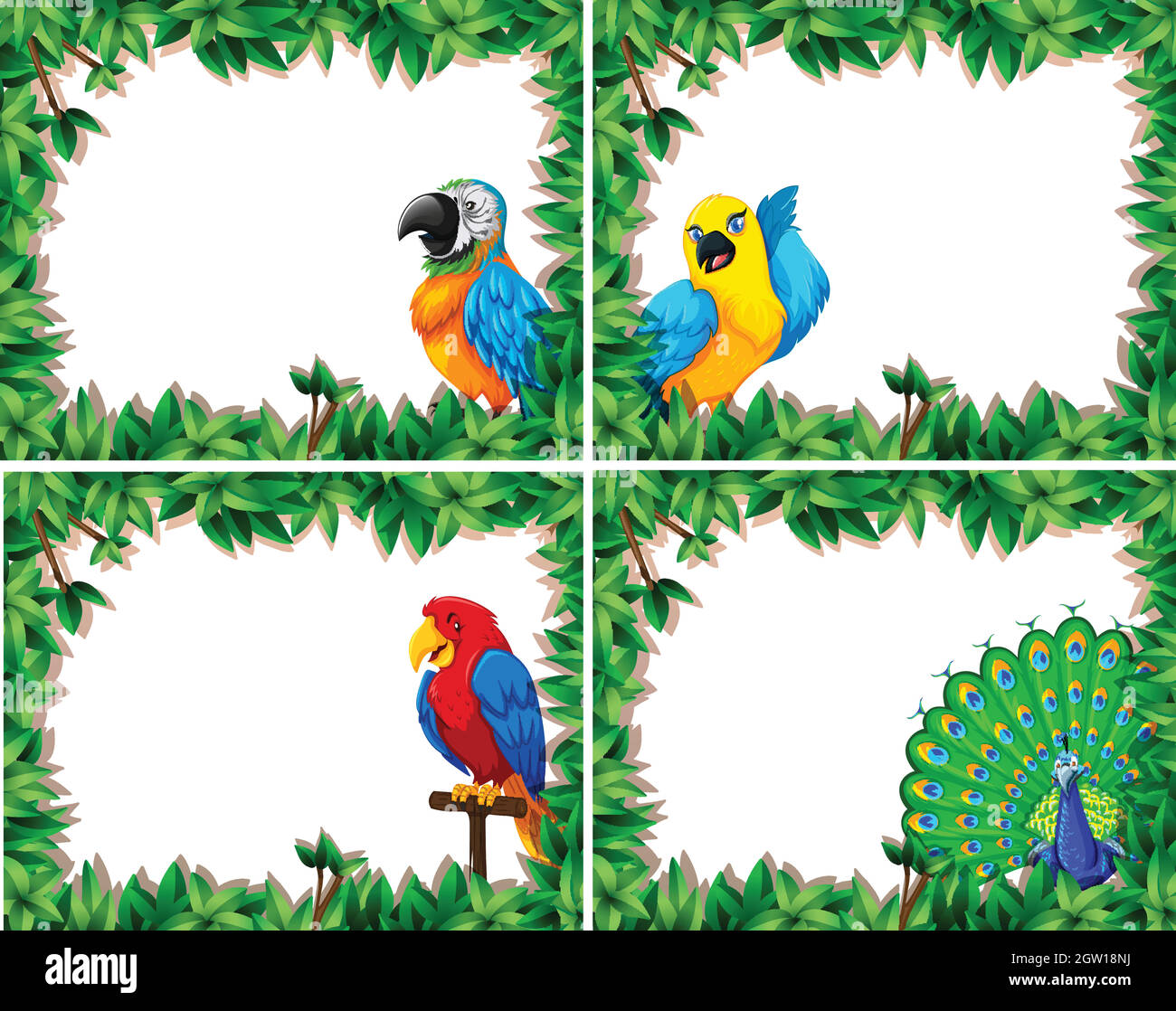 Set of bird frame Stock Vector Image & Art - Alamy