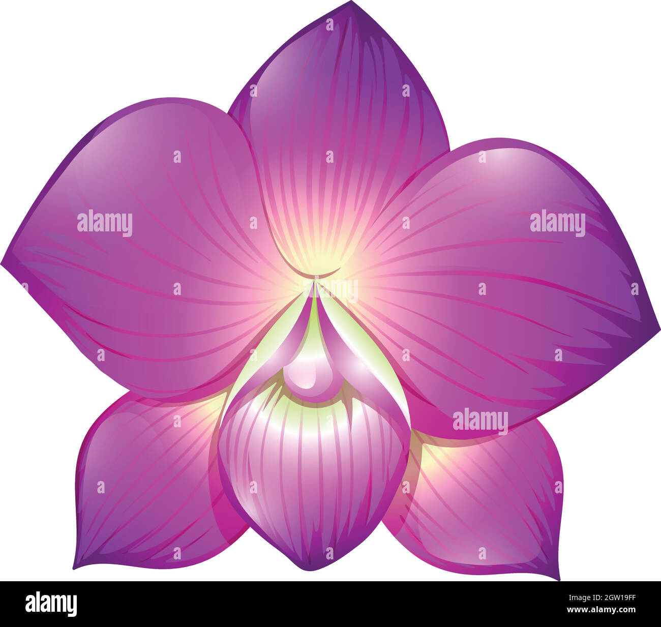 Orchid in purple color Stock Vector Image & Art - Alamy