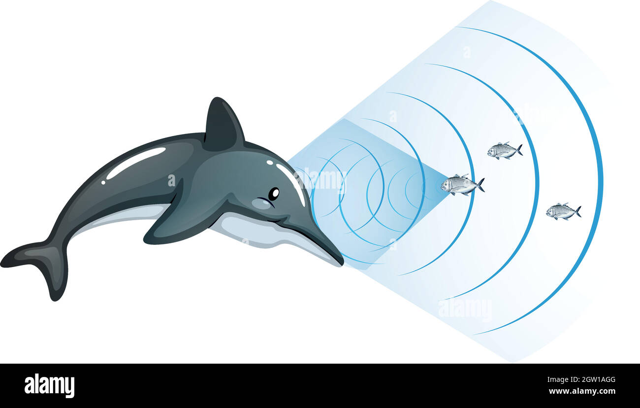 Dolphin communication Stock Vector Images - Alamy