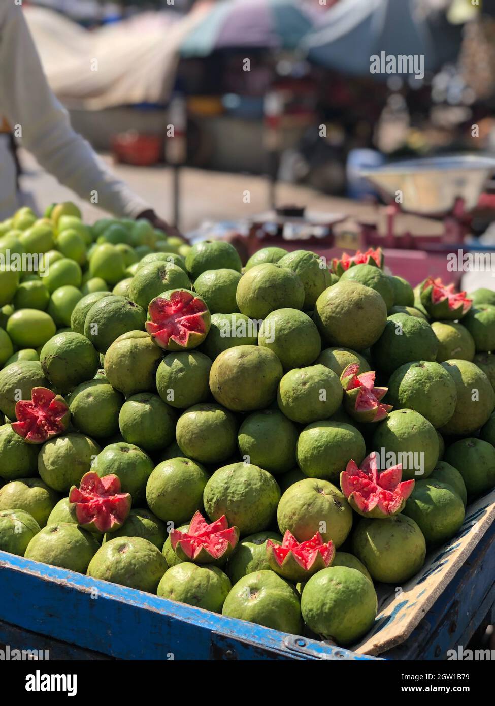 India guava fruits hi-res stock photography and images - Alamy
