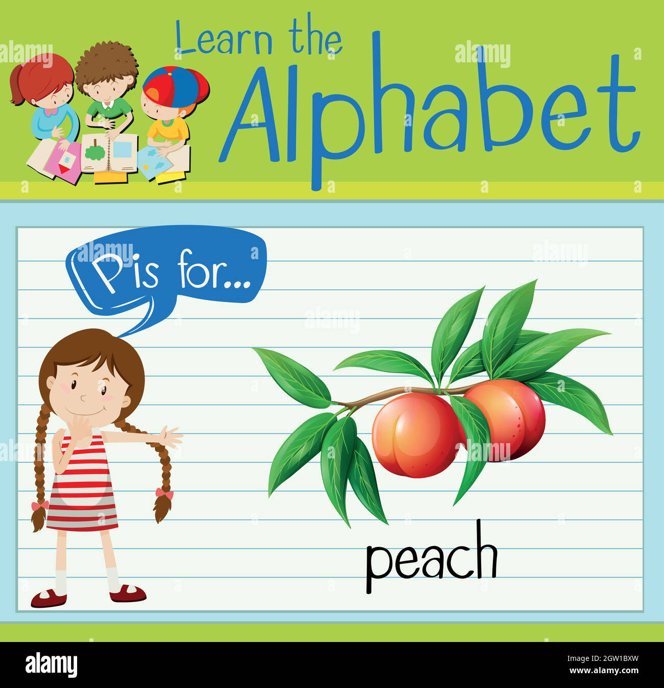 Young peach fruit Stock Vector Images - Alamy