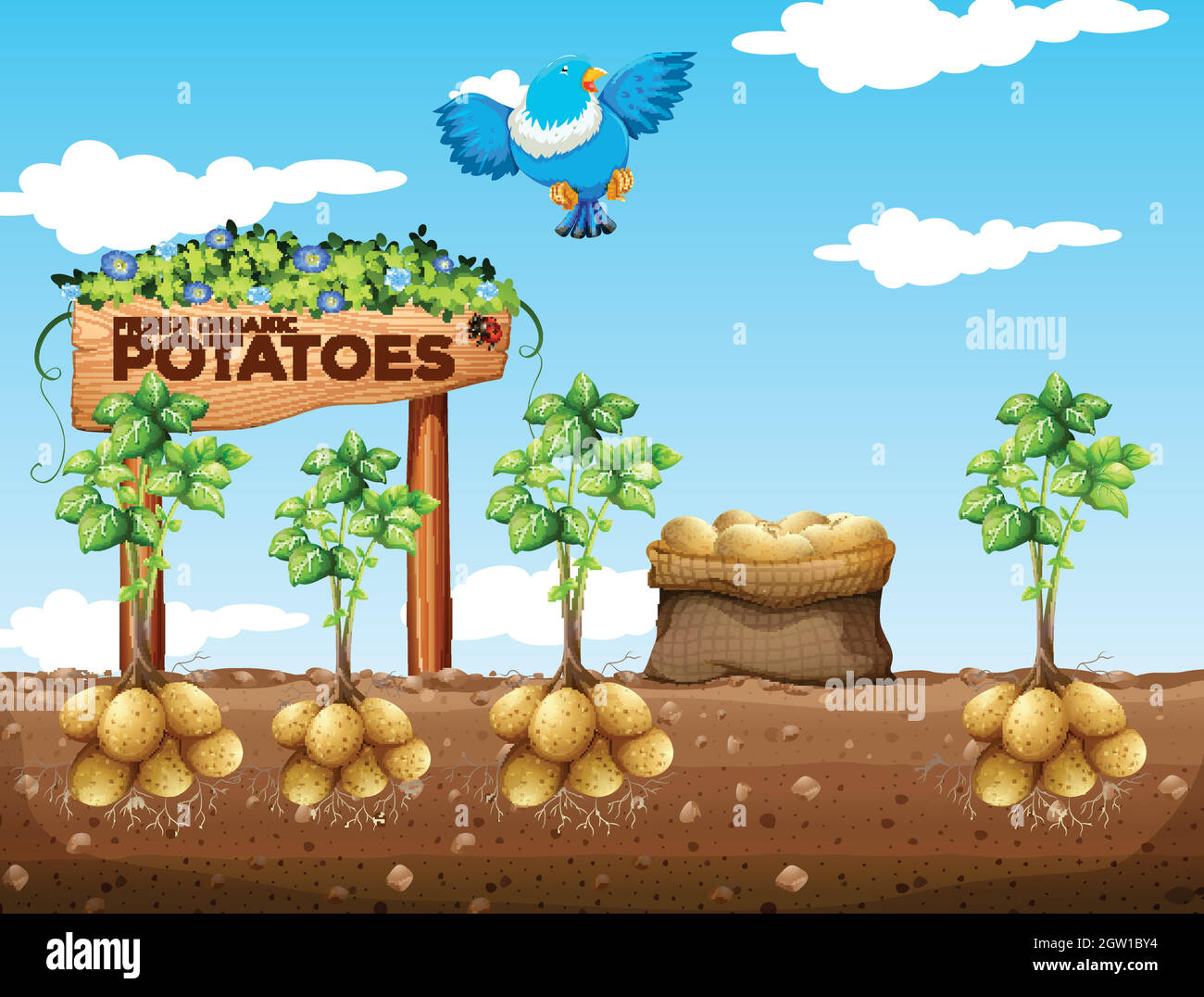 Potatoes with soil Stock Vector Images - Alamy