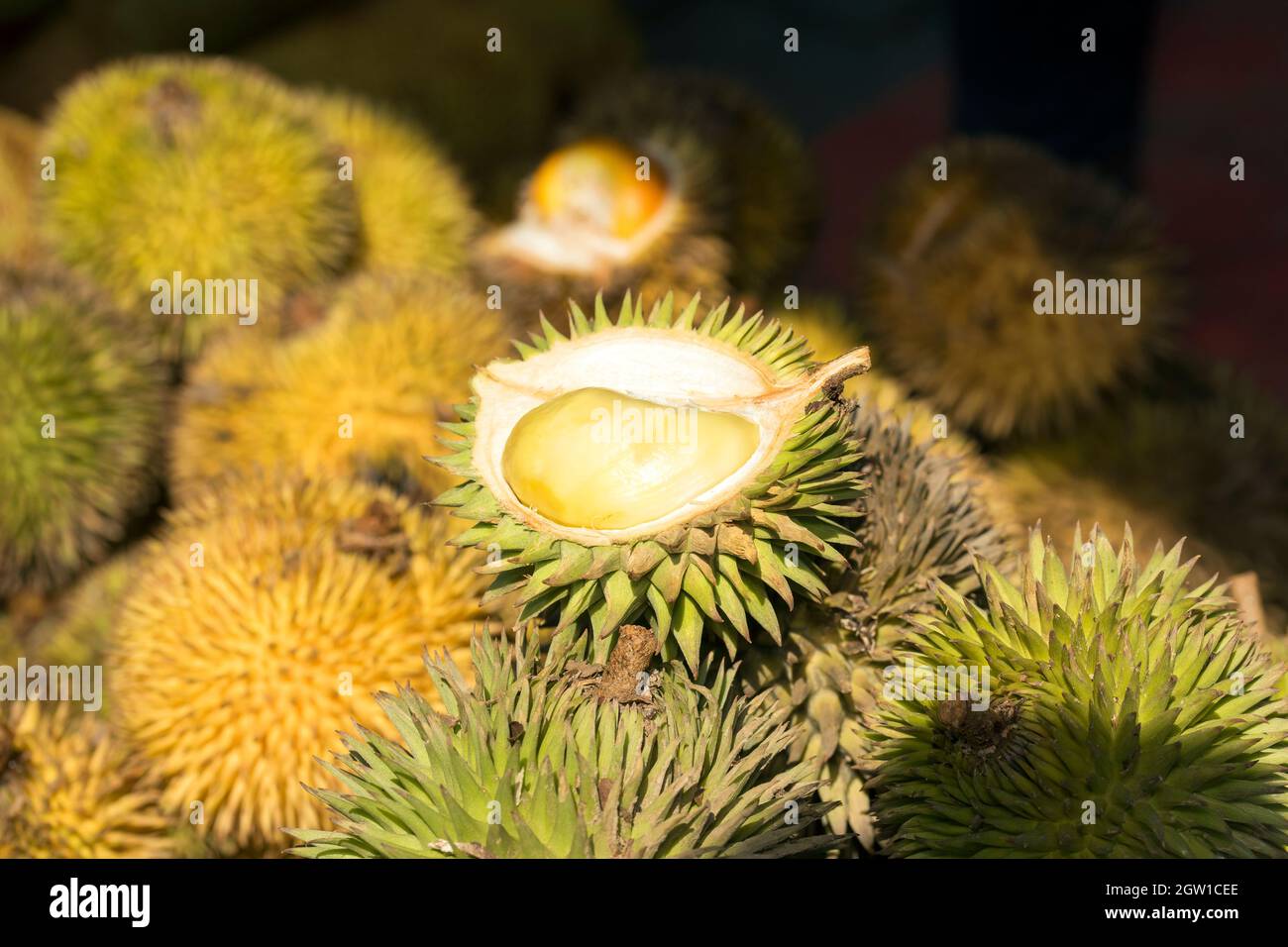 Tropical Fruit Borneo High Resolution Stock Photography and Images - Alamy