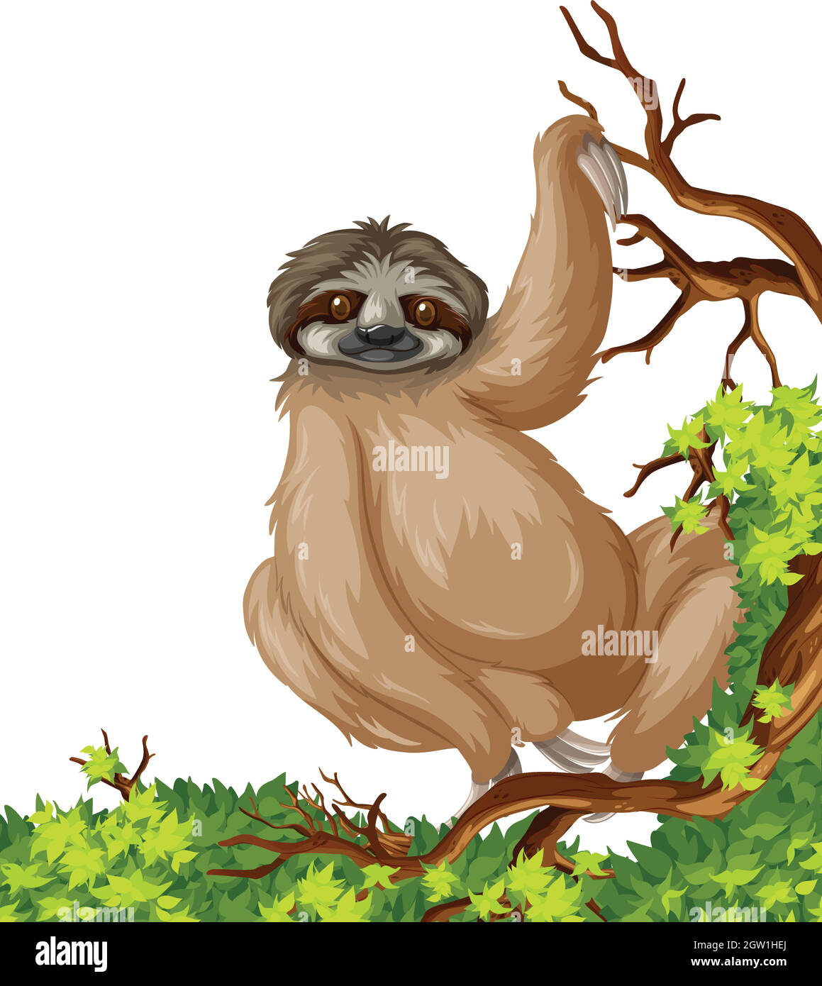 Cute sloth on branch Stock Vector Image & Art - Alamy