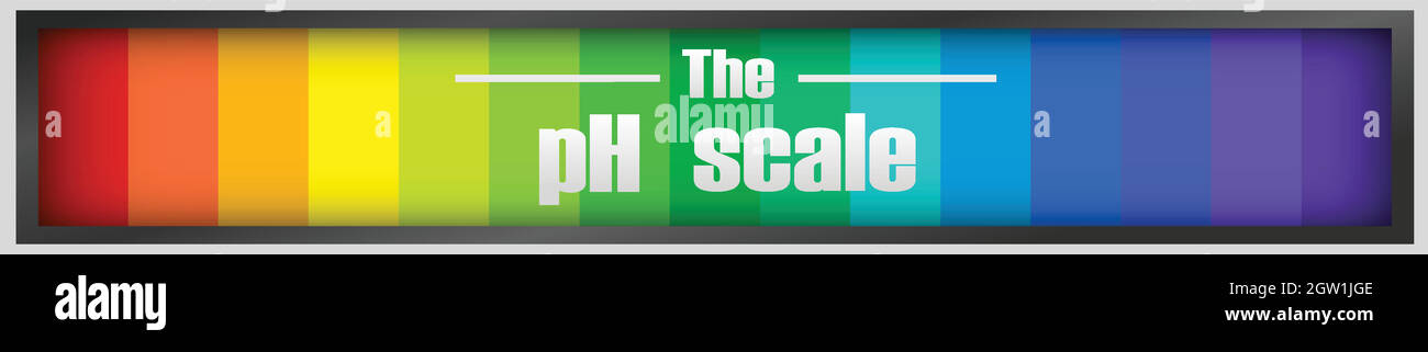 The ph scale diagram Stock Vector Image & Art - Alamy