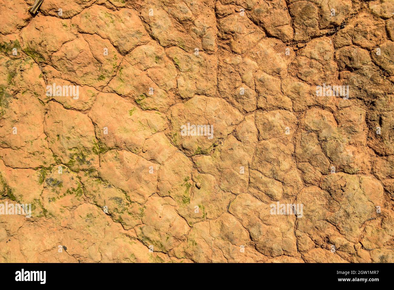 Soil structure close up hi-res stock photography and images - Alamy