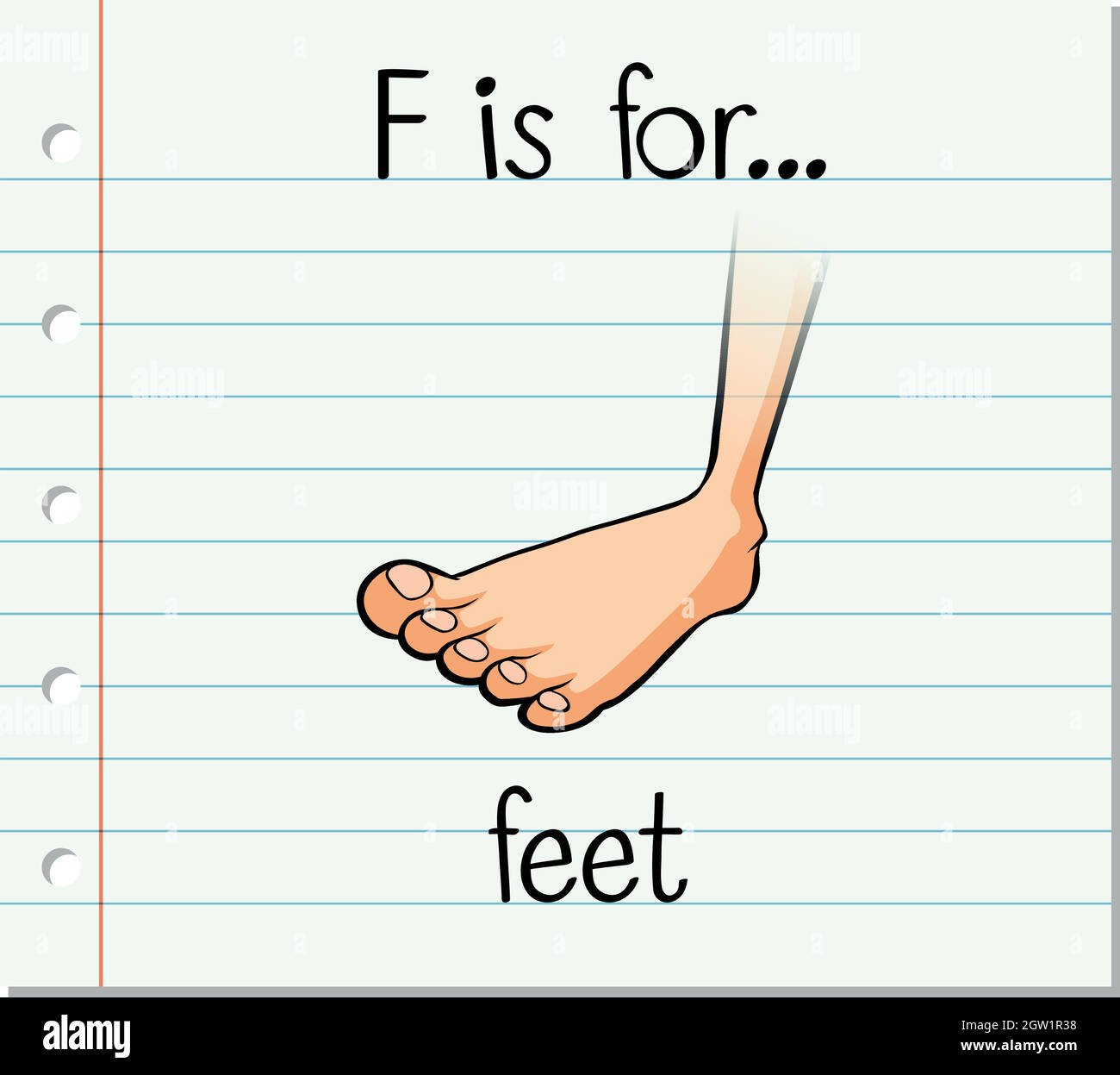 Flashcard letter F is for feet Stock Vector Image & Art - Alamy