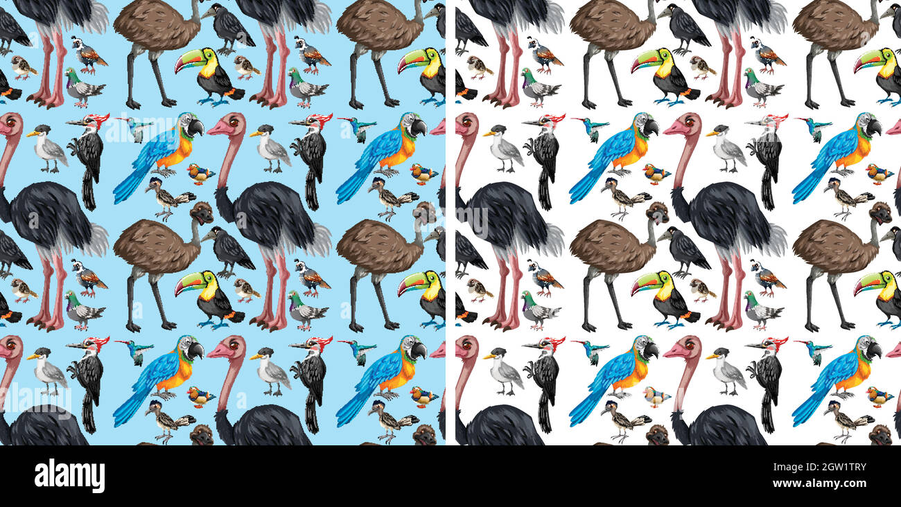 Parrot birds seamless pattern Stock Vector Images - Alamy