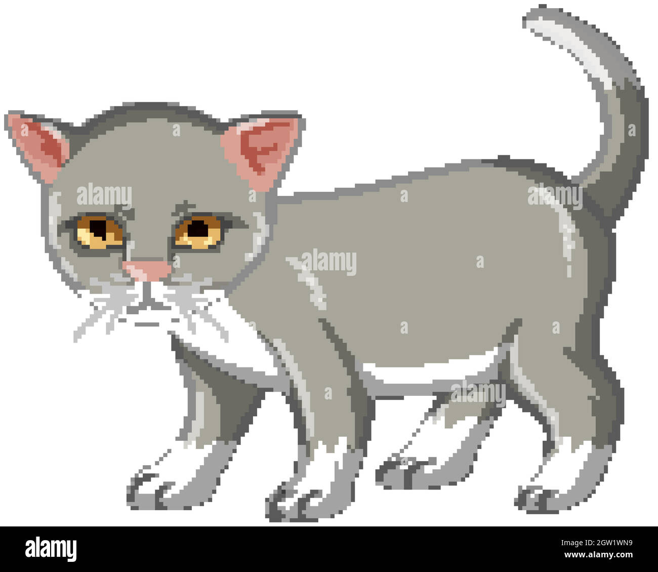 Grey kitten standing alone isolated on white background Stock Vector ...