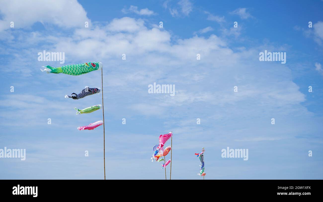 Wind koi hi-res stock photography and images - Alamy