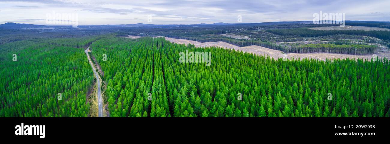 Aerial view tree plantation australia hi-res stock photography and ...
