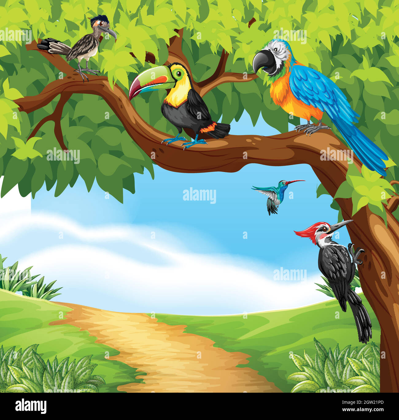 Wild birds in the tree Stock Vector Image & Art - Alamy