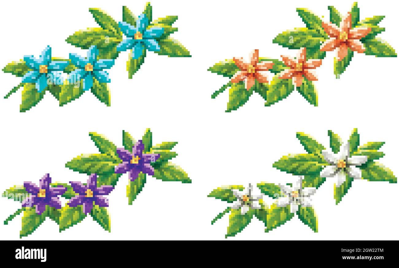 Vine flowers on background Stock Vector Images - Alamy