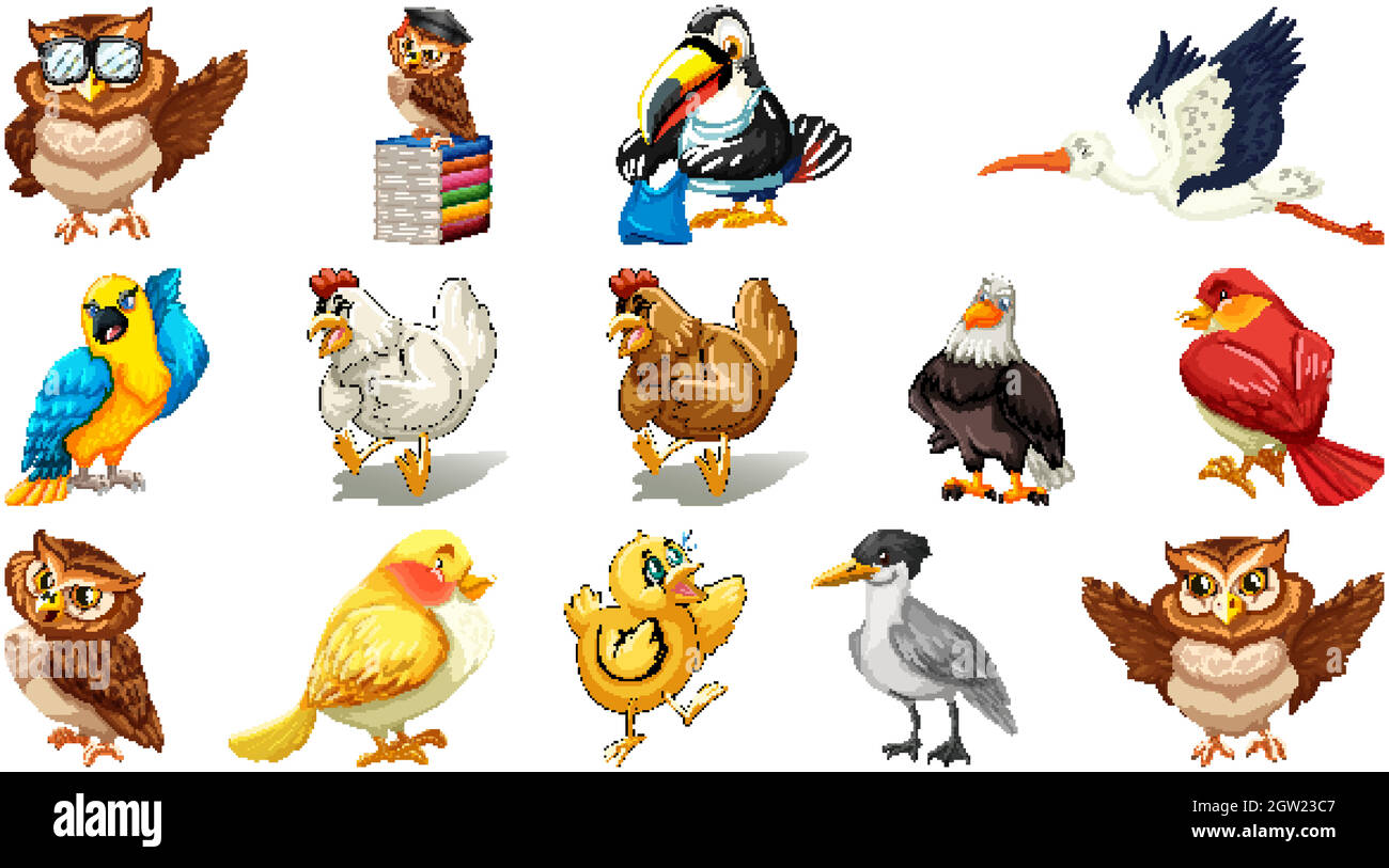 Set of different birds cartoon style isolated on white background Stock ...