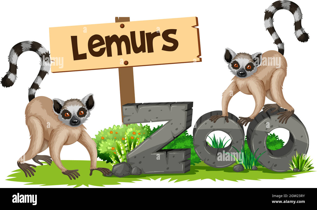 Two lemurs in the zoo Stock Vector Image & Art - Alamy