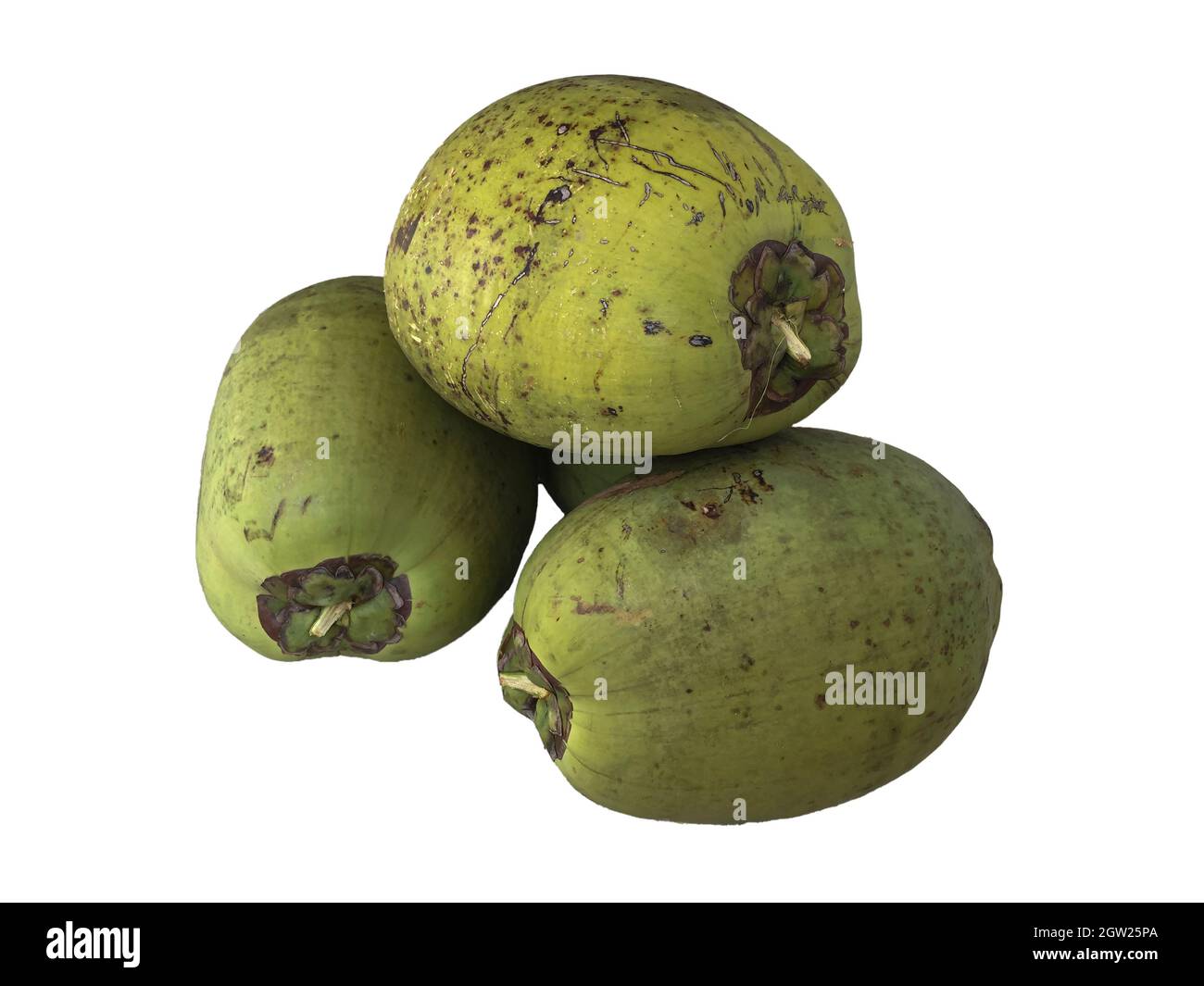 Green coconuts Isolated in White Background Stock Photo - Alamy