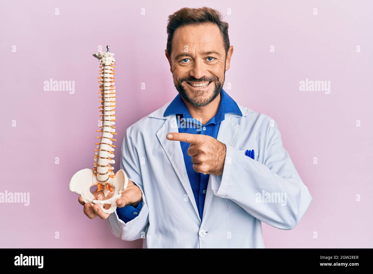 Middle age doctor man holding anatomical model of spinal column smiling ...