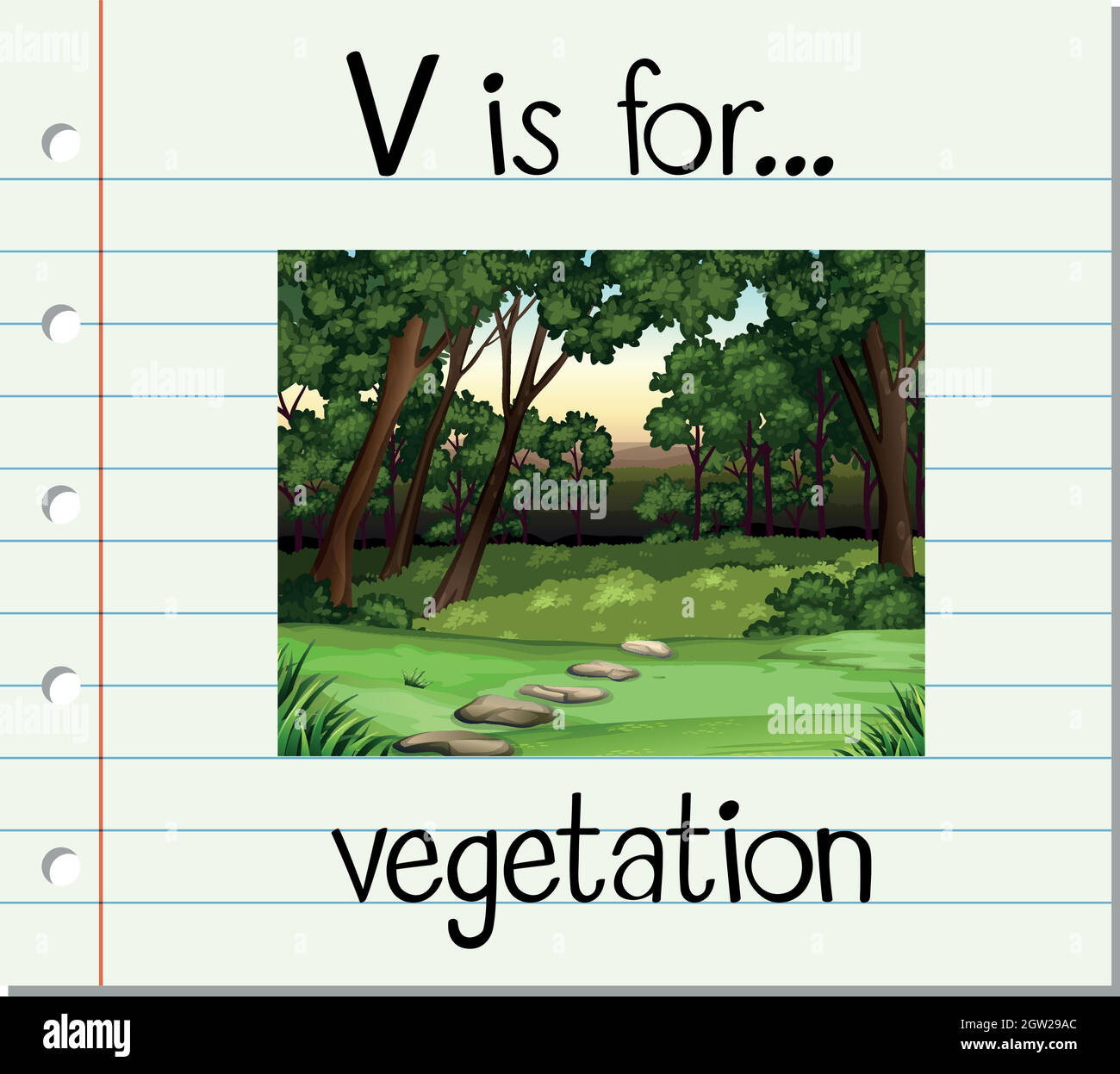 Flashcard letter V is for vegetation Stock Vector Image & Art - Alamy