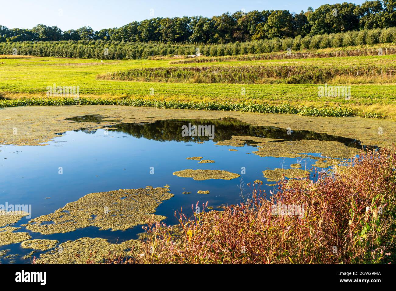 Agriculture water pennsylvania hi-res stock photography and images - Alamy