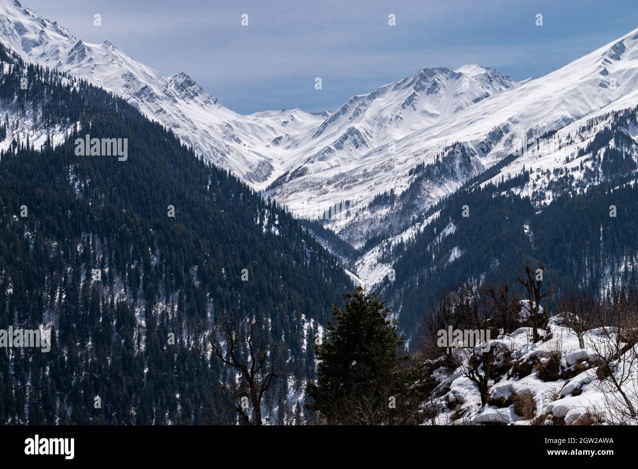 Tosh parvati valley hi-res stock photography and images - Alamy
