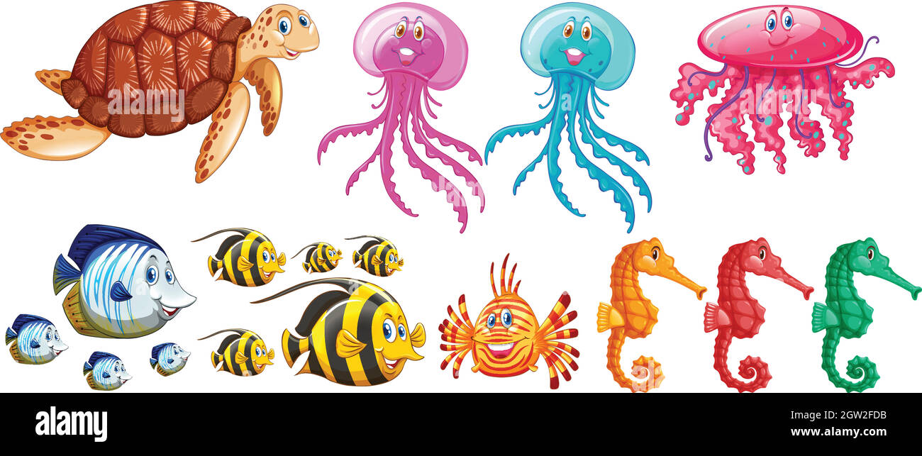 Set the sea Cut Out Stock Images & Pictures - Alamy