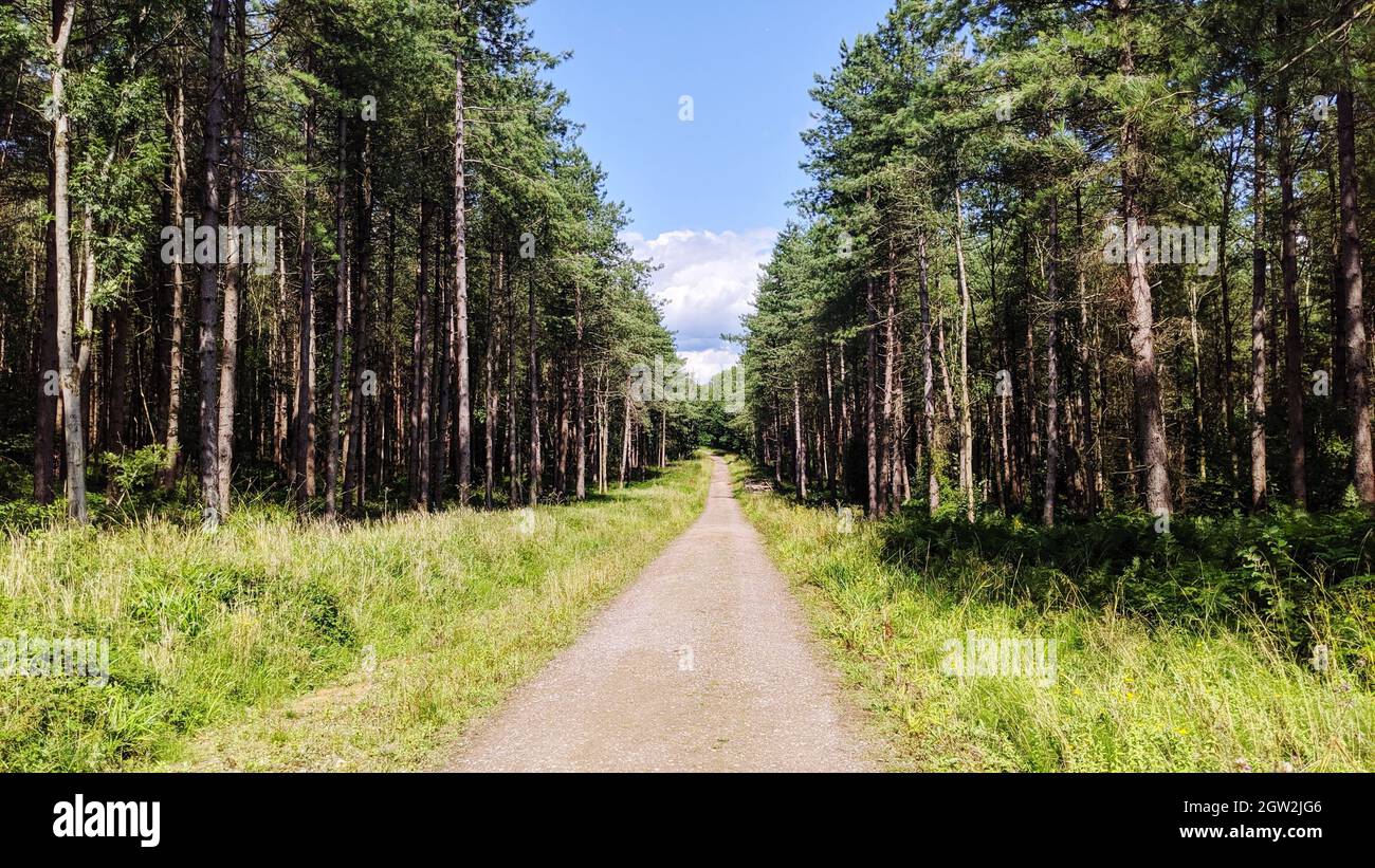 The Road Less Travelled Stock Photo - Alamy