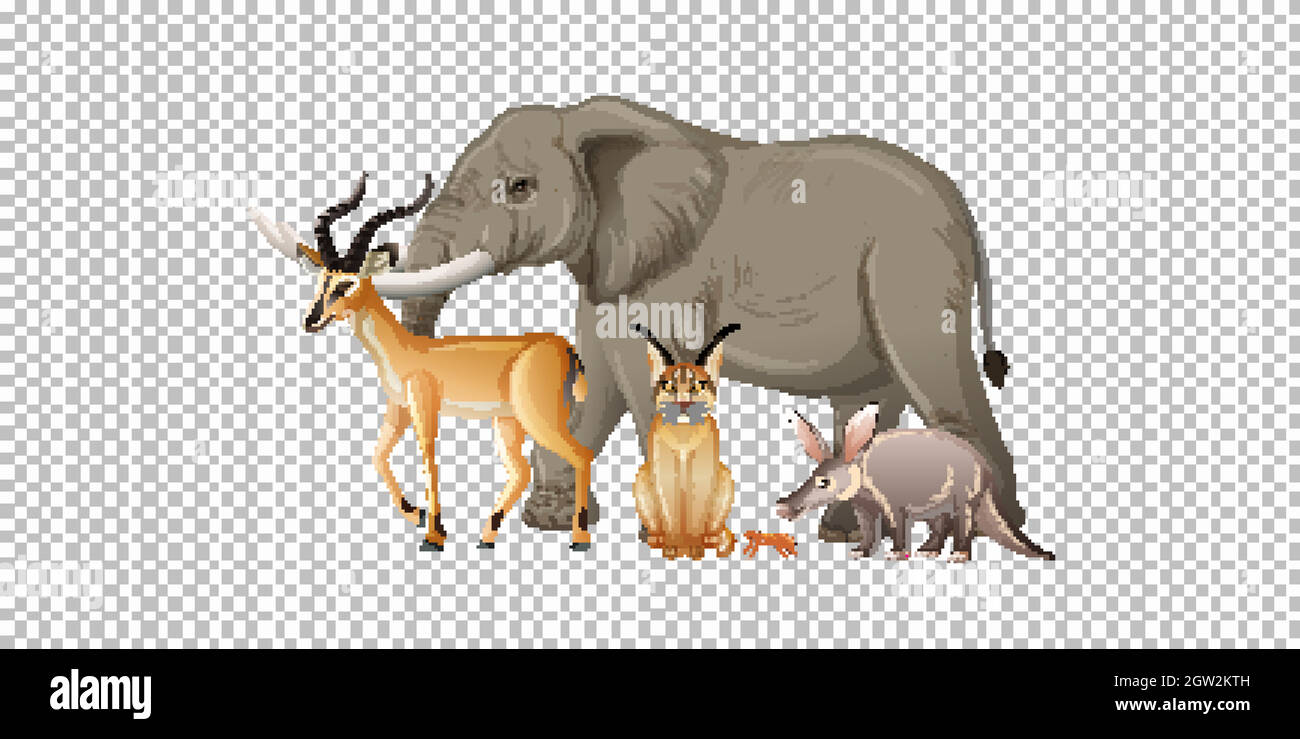 Group of wild african animal on transparent background Stock Vector ...