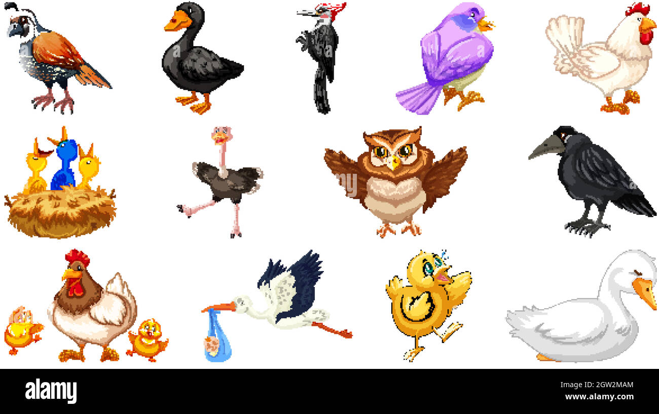 Set of different birds cartoon style isolated on white background Stock ...