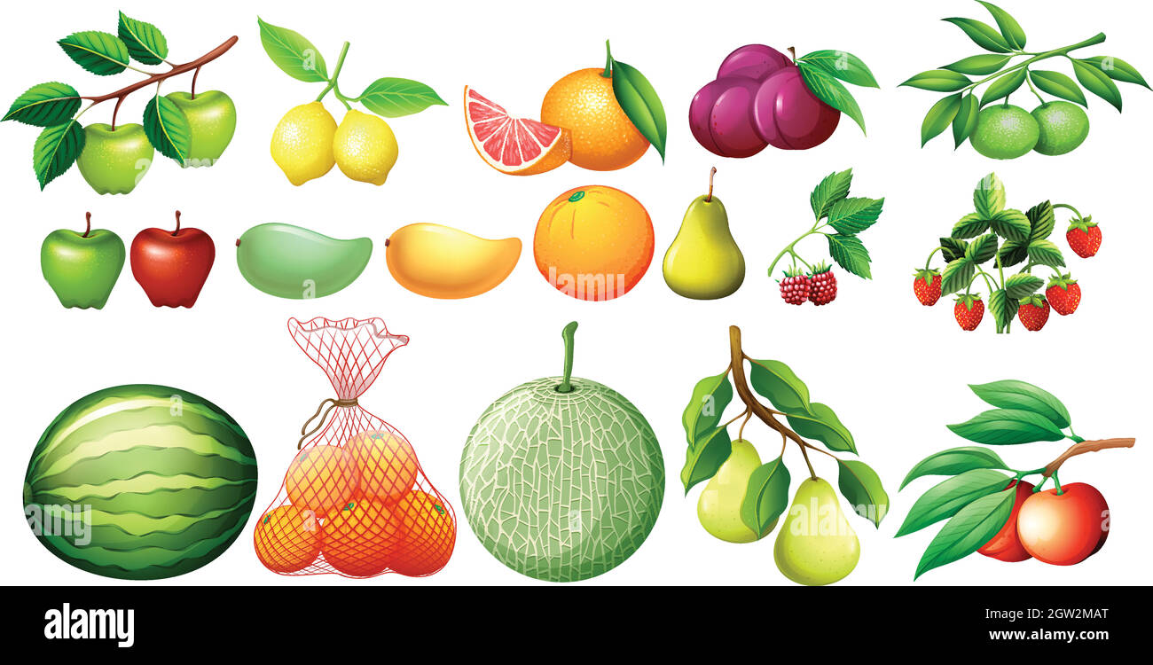 Different fruits isolated Stock Vector Images - Alamy