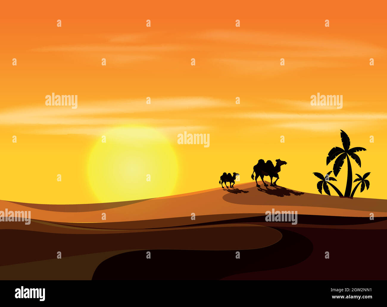 Camel at sunset desert Stock Vector Image & Art - Alamy