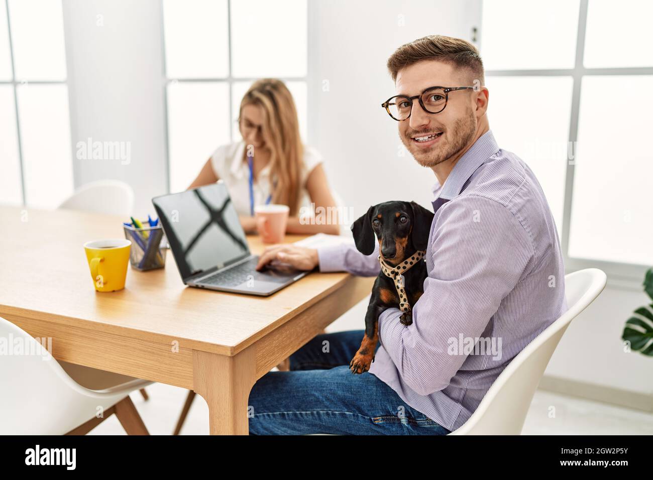 Two business workers smiling happy working with dog at the office Stock ...