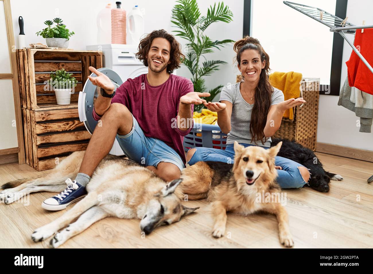 Assistance dogs and washing machine hi-res stock photography and images ...