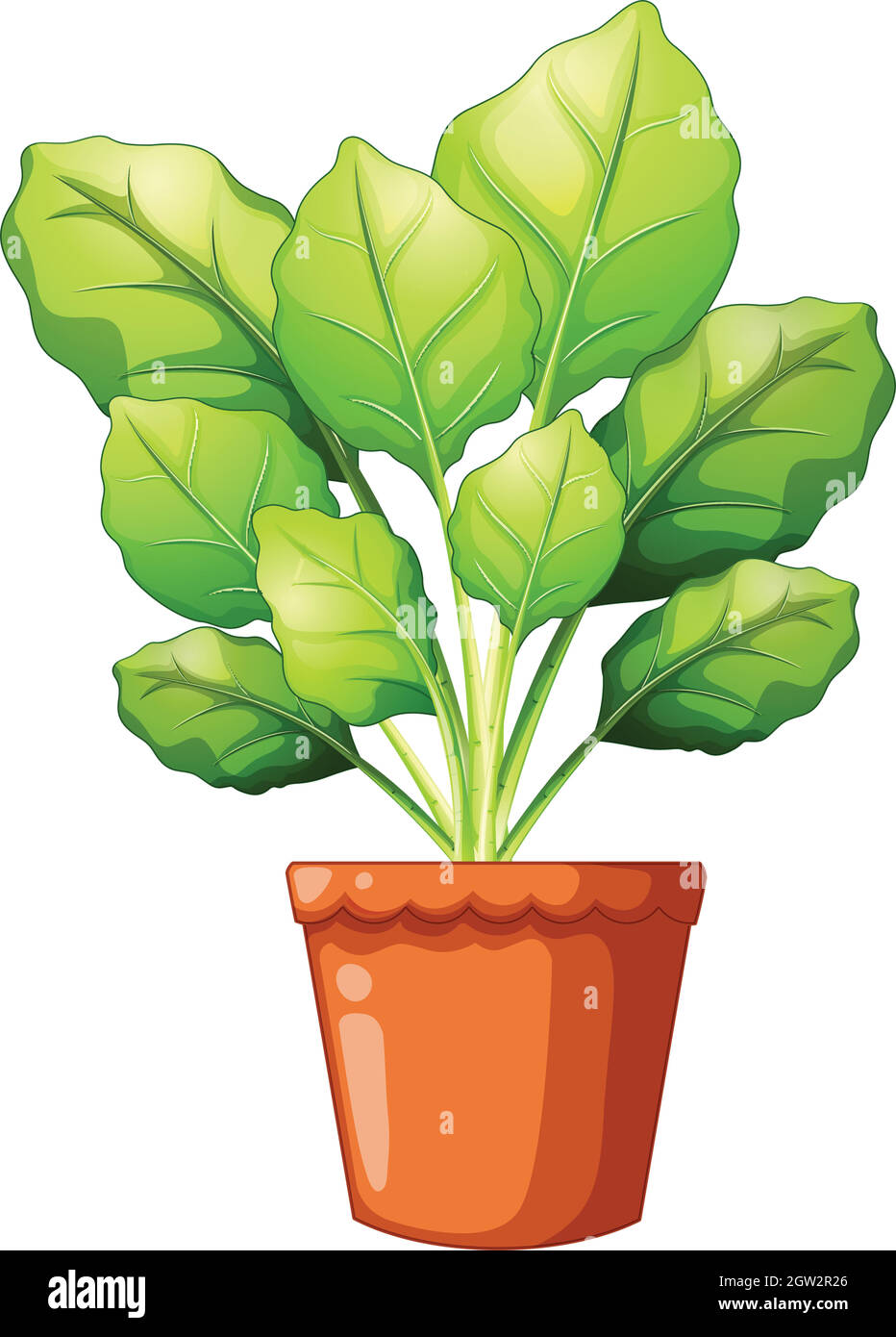 Green tropical plant in Cut Out Stock Images & Pictures - Alamy