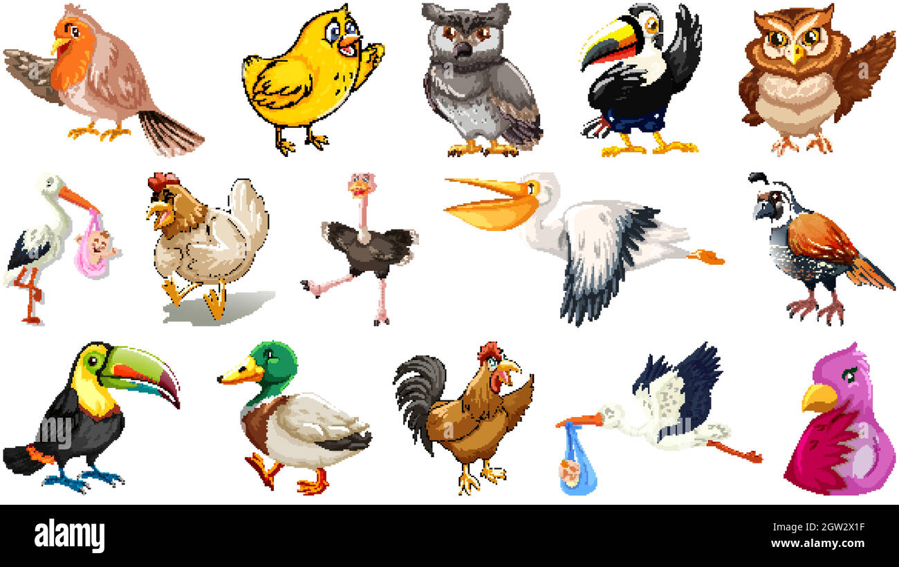 Set of different birds cartoon style isolated on white background Stock ...
