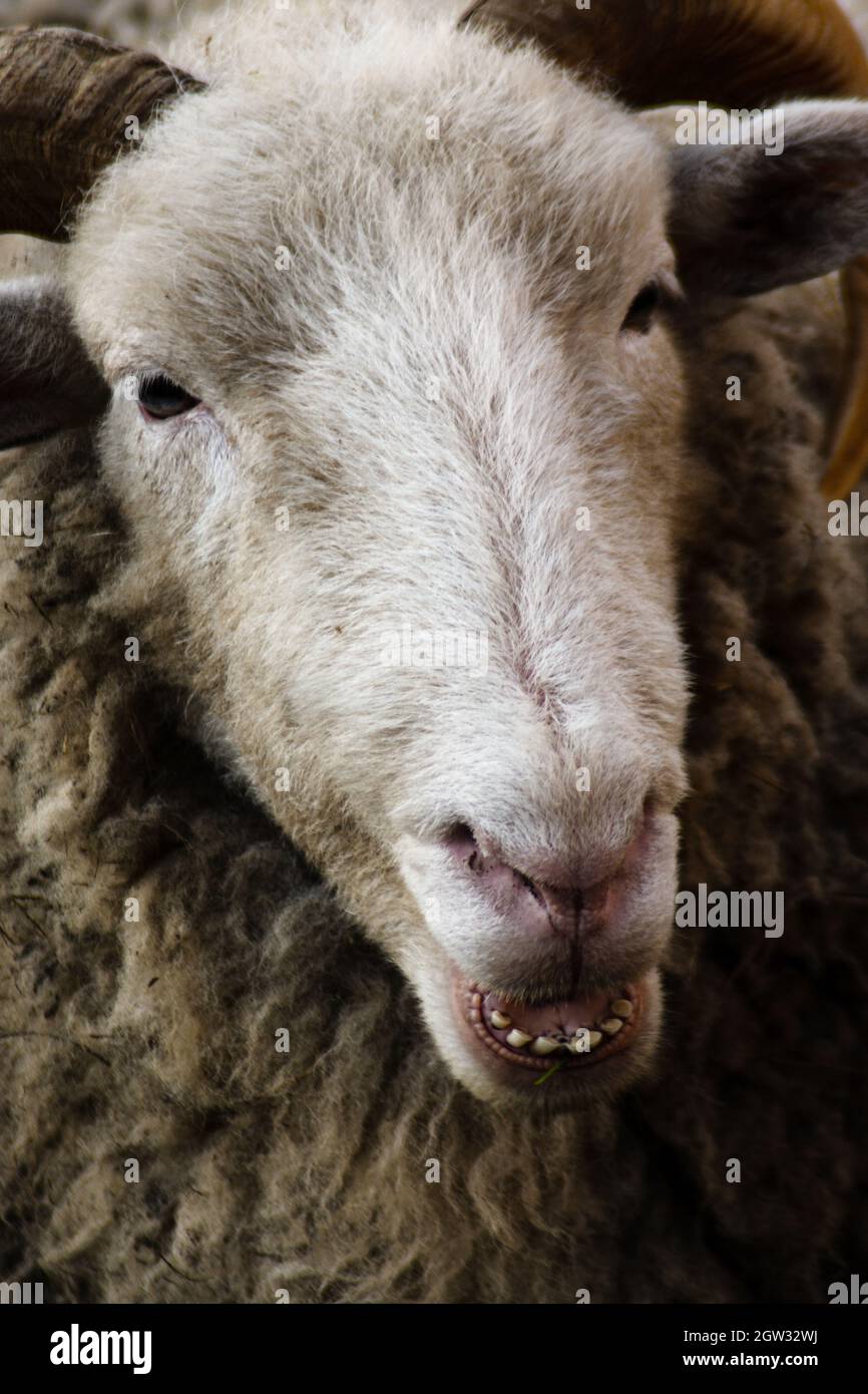 Open Tup High Resolution Stock Photography and Images - Alamy