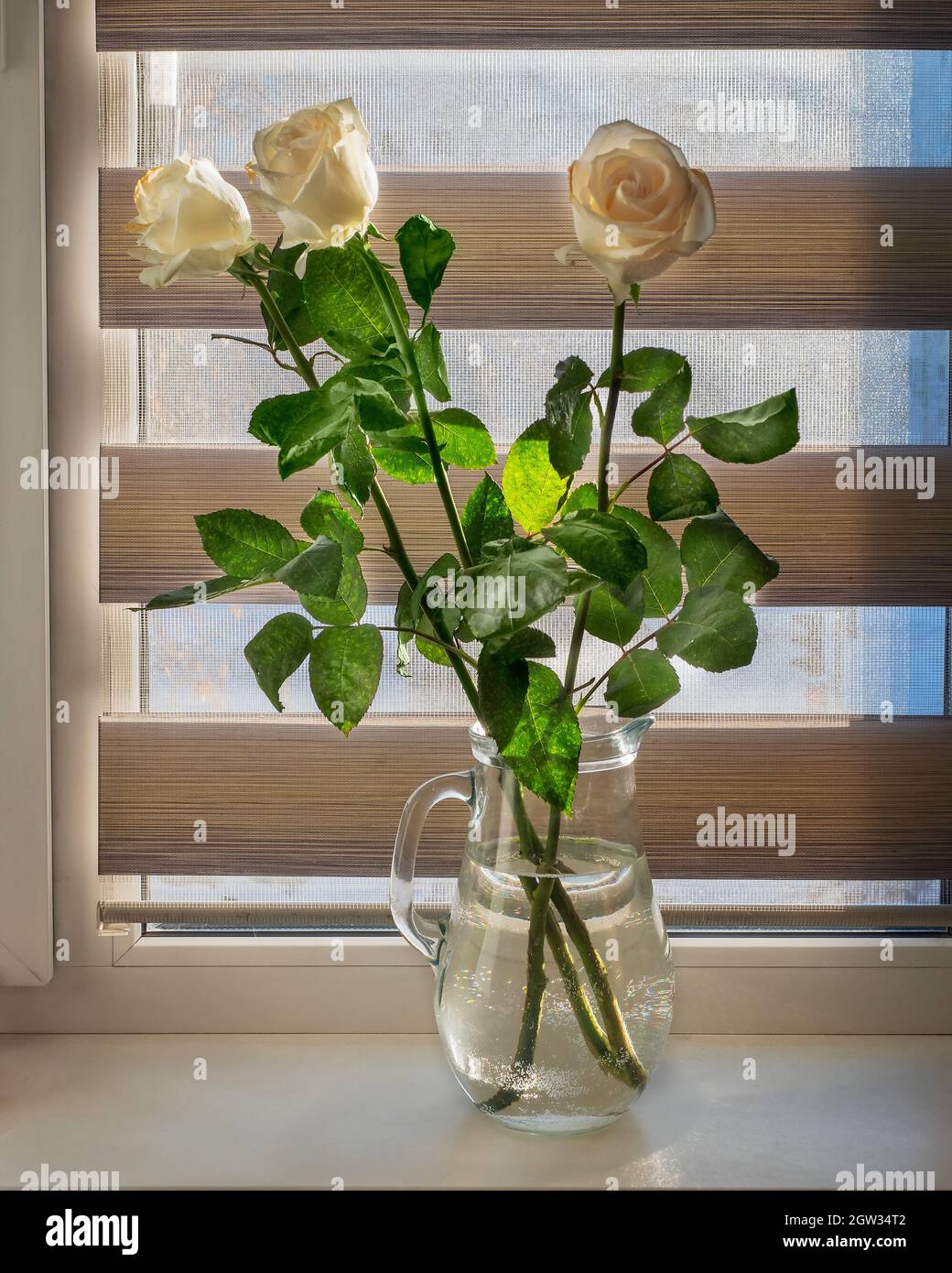 Rose covered window hi-res stock photography and images - Alamy