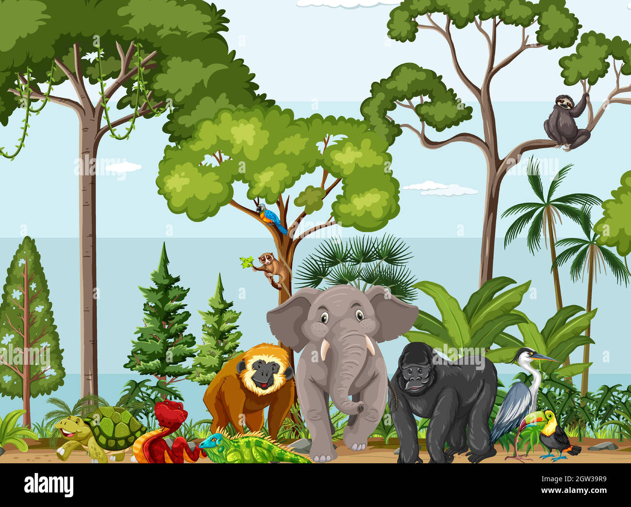 Rainforest scene with wild animals Stock Vector Image & Art - Alamy