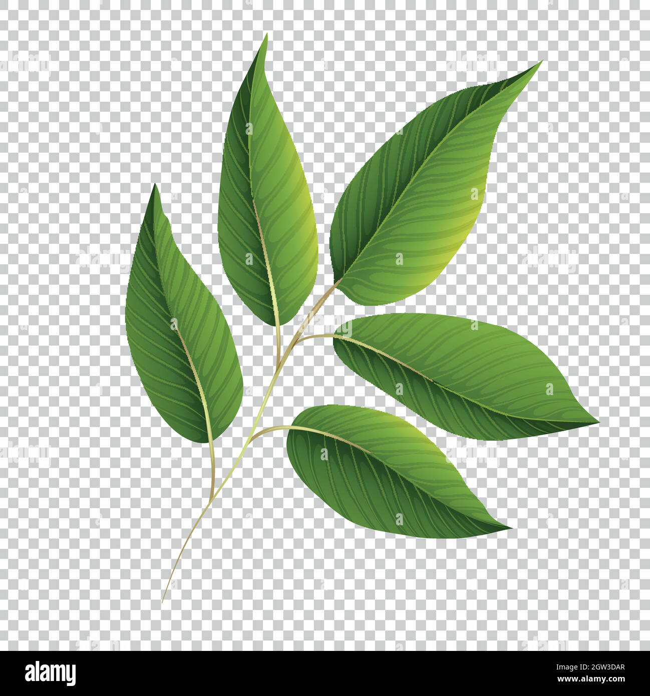 Brown on leaves Stock Vector Images - Alamy