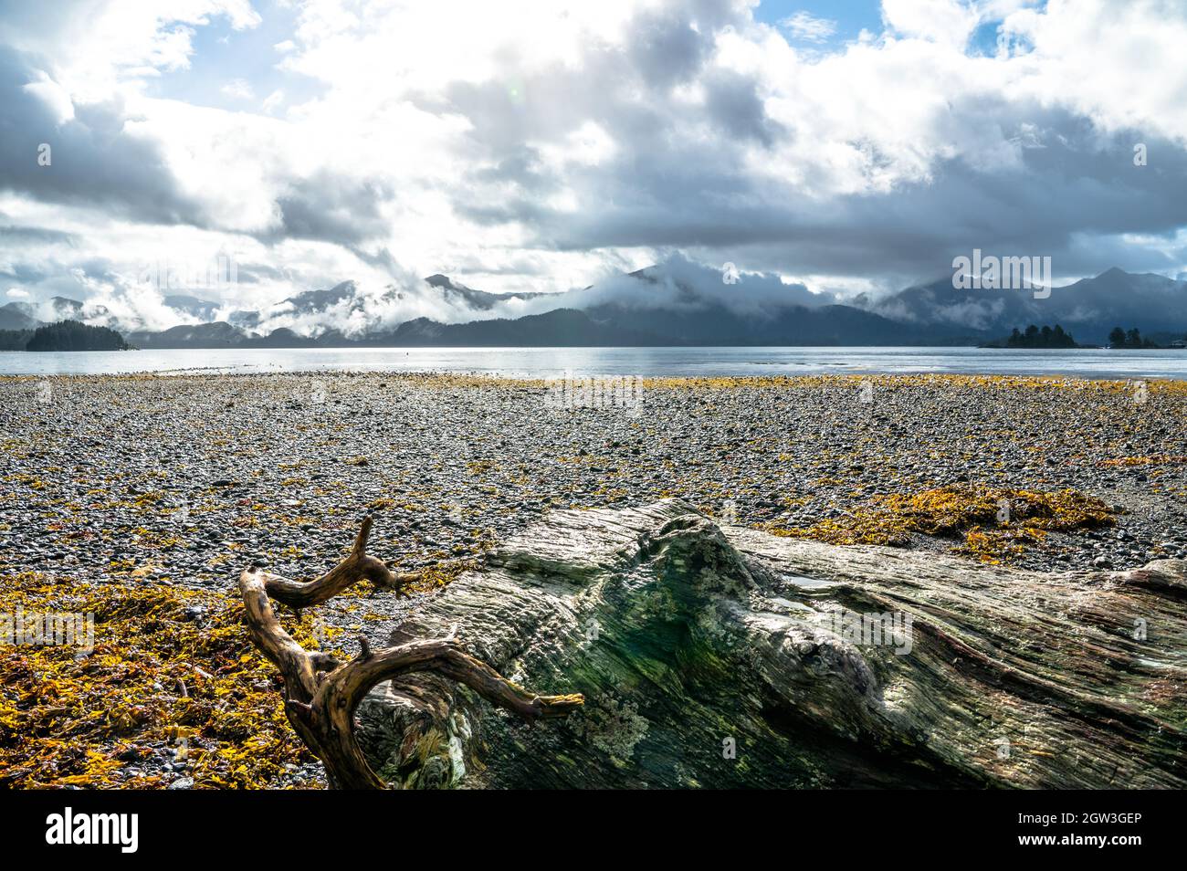 Sitka indian river bridge hi-res stock photography and images - Alamy