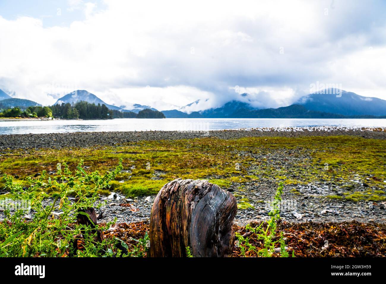 Sitka indian river bridge hi-res stock photography and images - Alamy