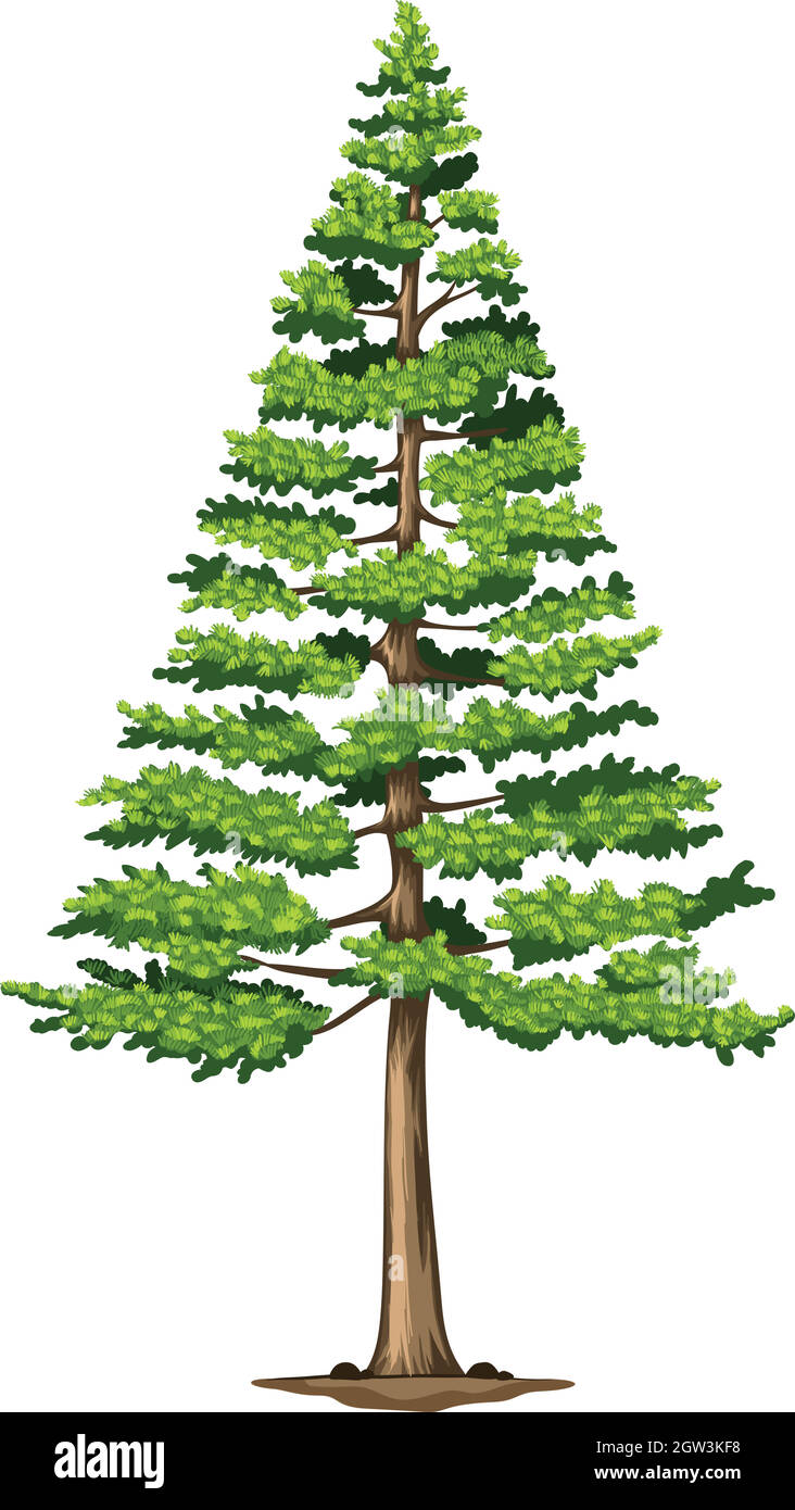 Triangular Tree Stock Vector Images - Alamy