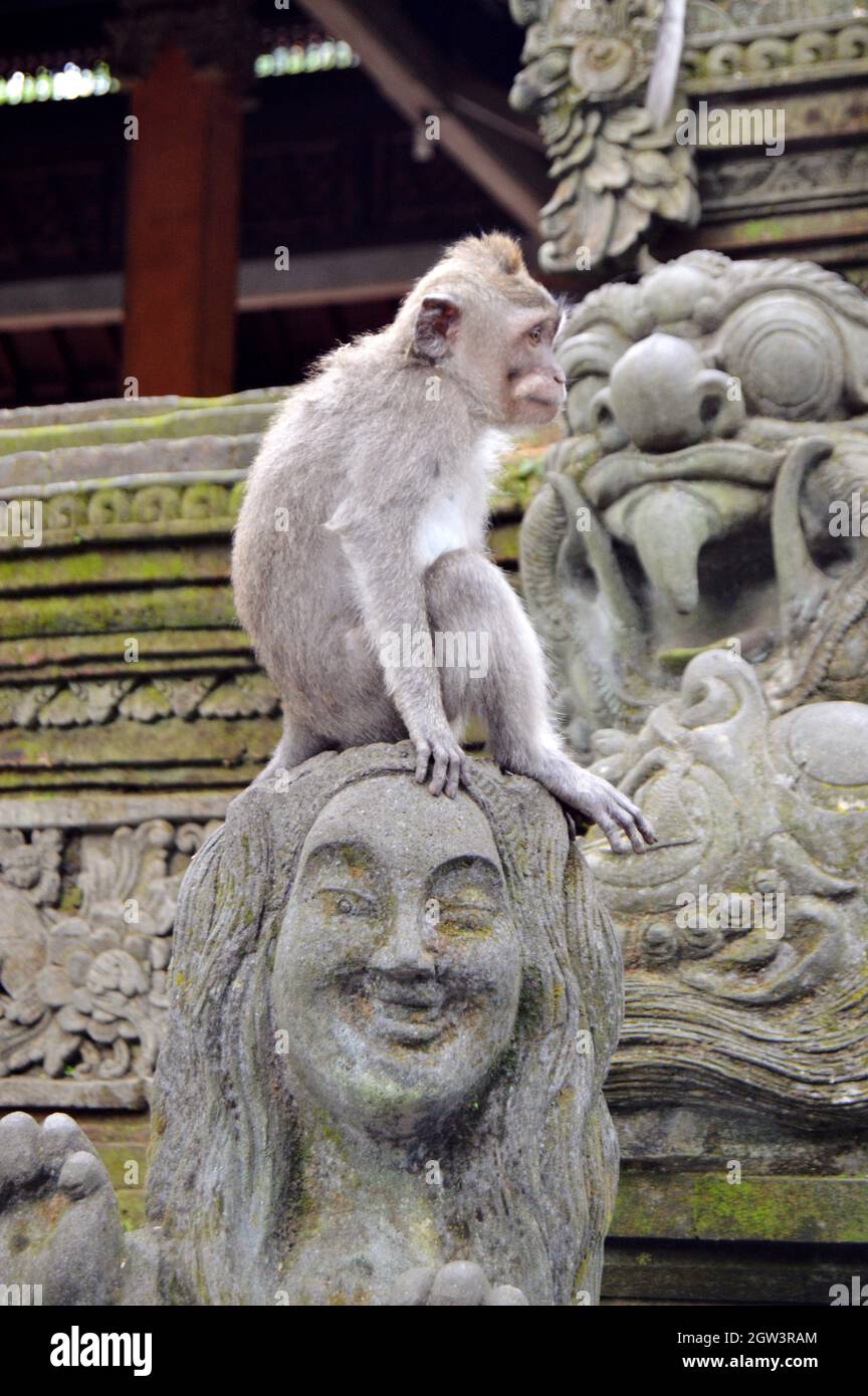 Monkey gargoyle hi-res stock photography and images - Alamy