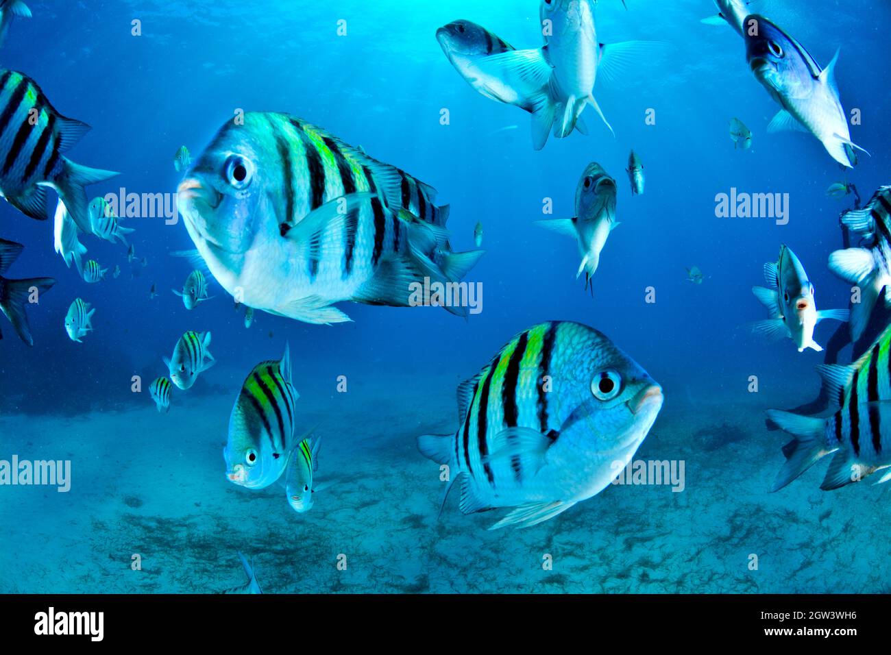 Rhode island vacations hi-res stock photography and images - Alamy